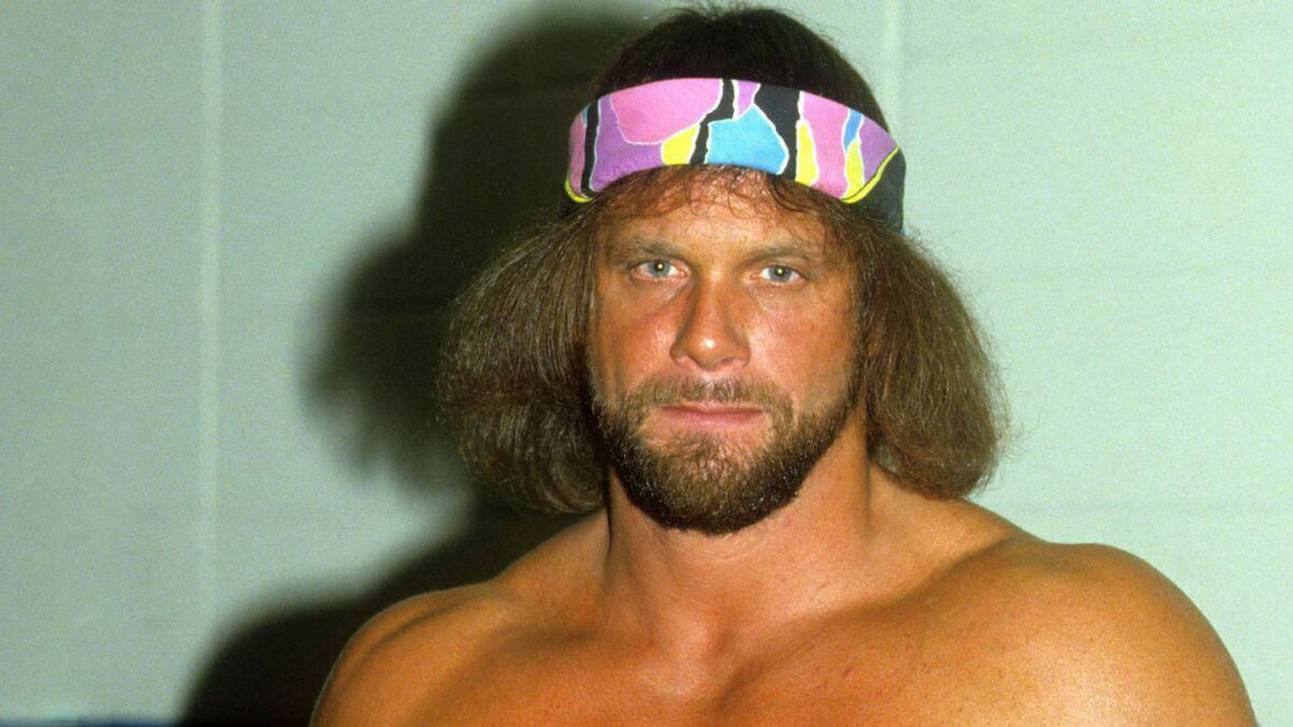 The Best of Macho Man Randy Savage in WWF/WCW/TNA 1984-2004.wwe. Impac ...